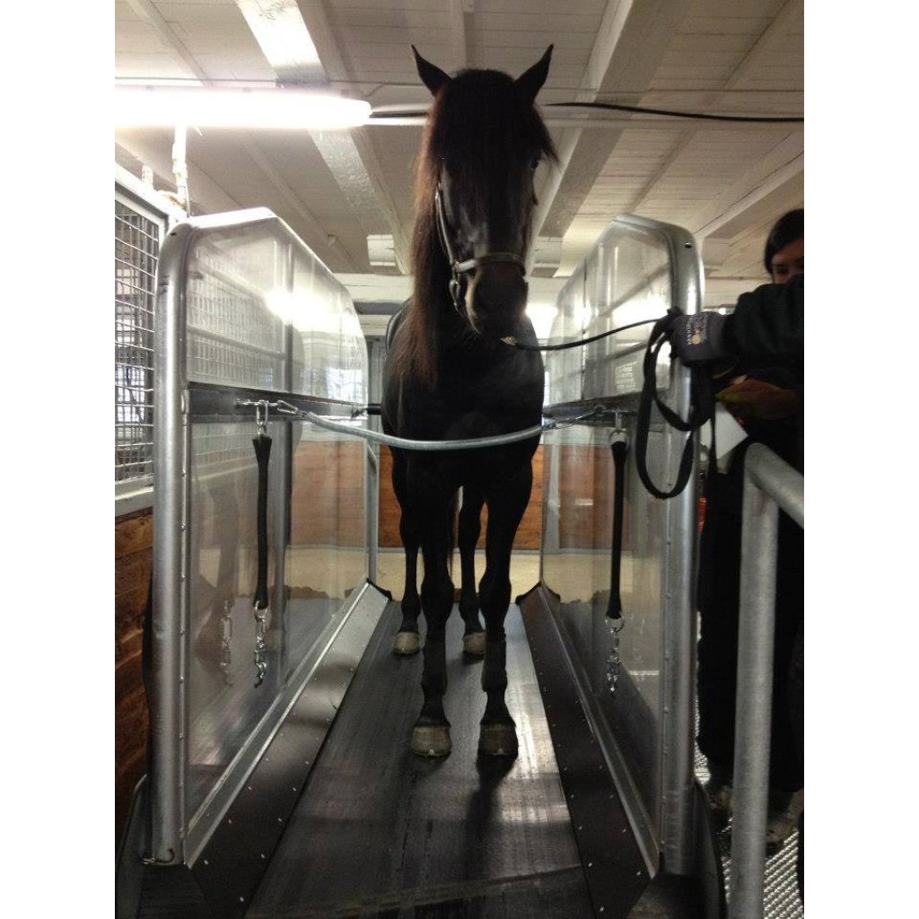 Horse Treadmills and Spas - Killahy Equine