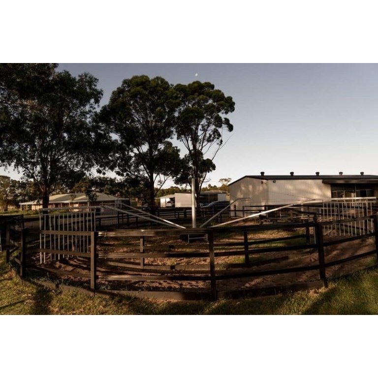 Horse Walkers Supplier in Australia