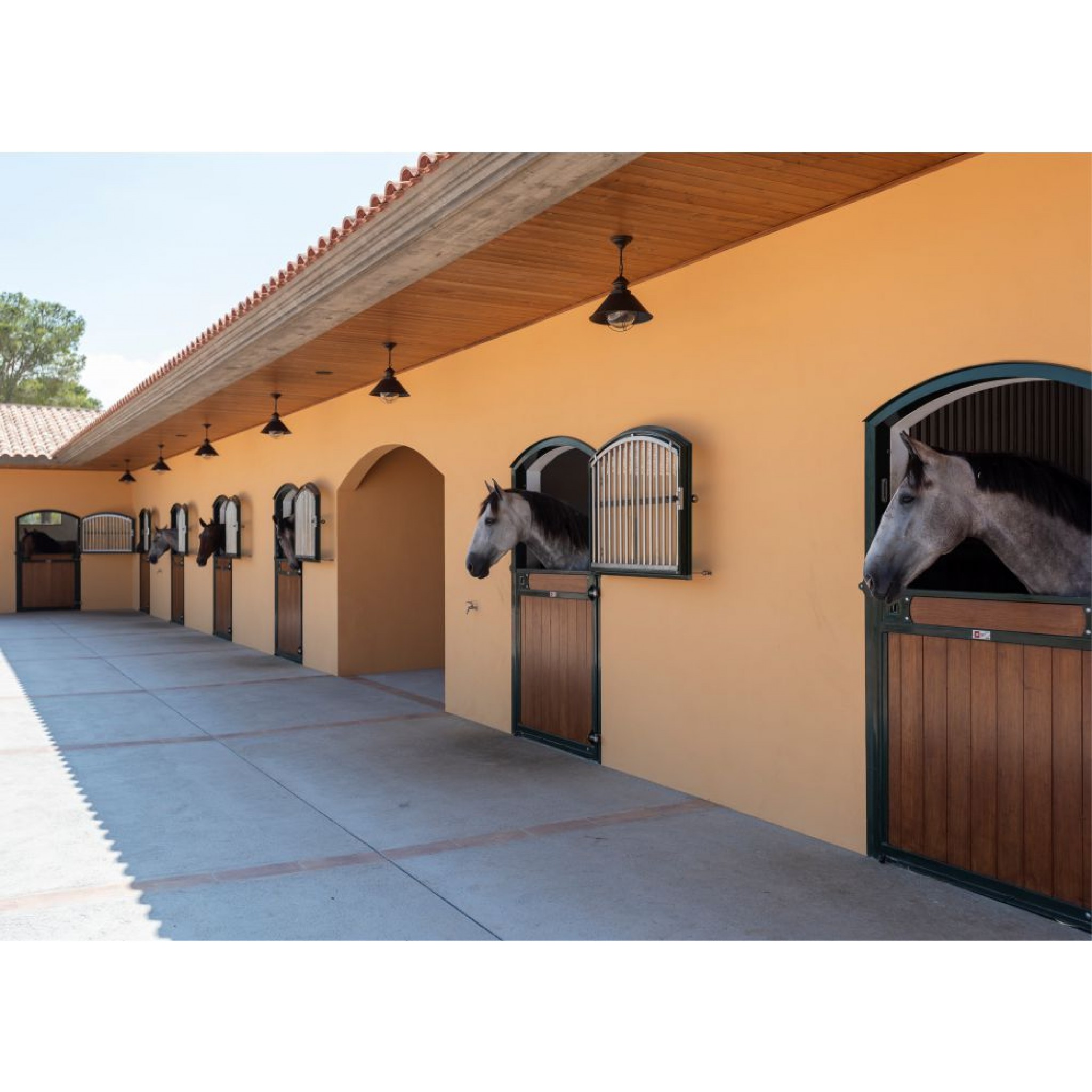 External Stable Doors Archives - Killahy Equine