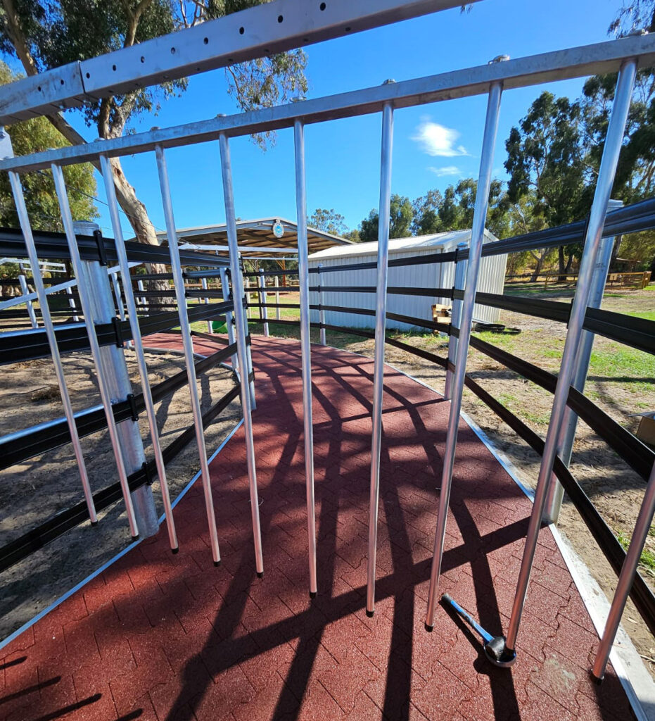 Horse Walkers Supplier in Australia