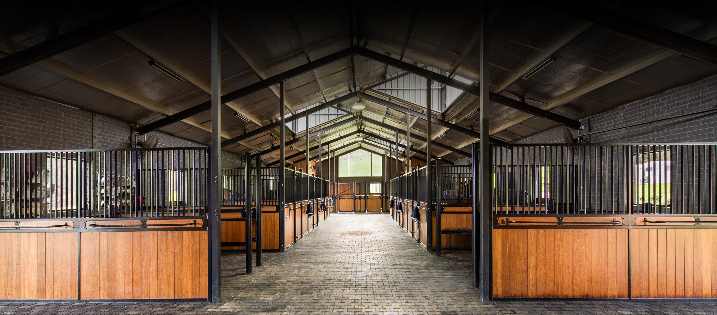 Home - Killahy Equine