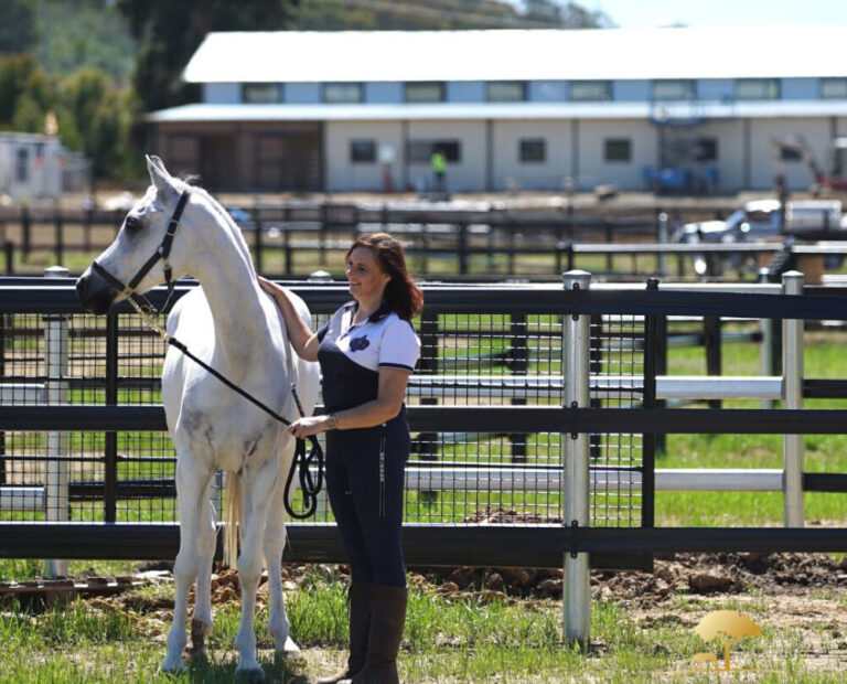 Equine Fencing - Killahy Equine